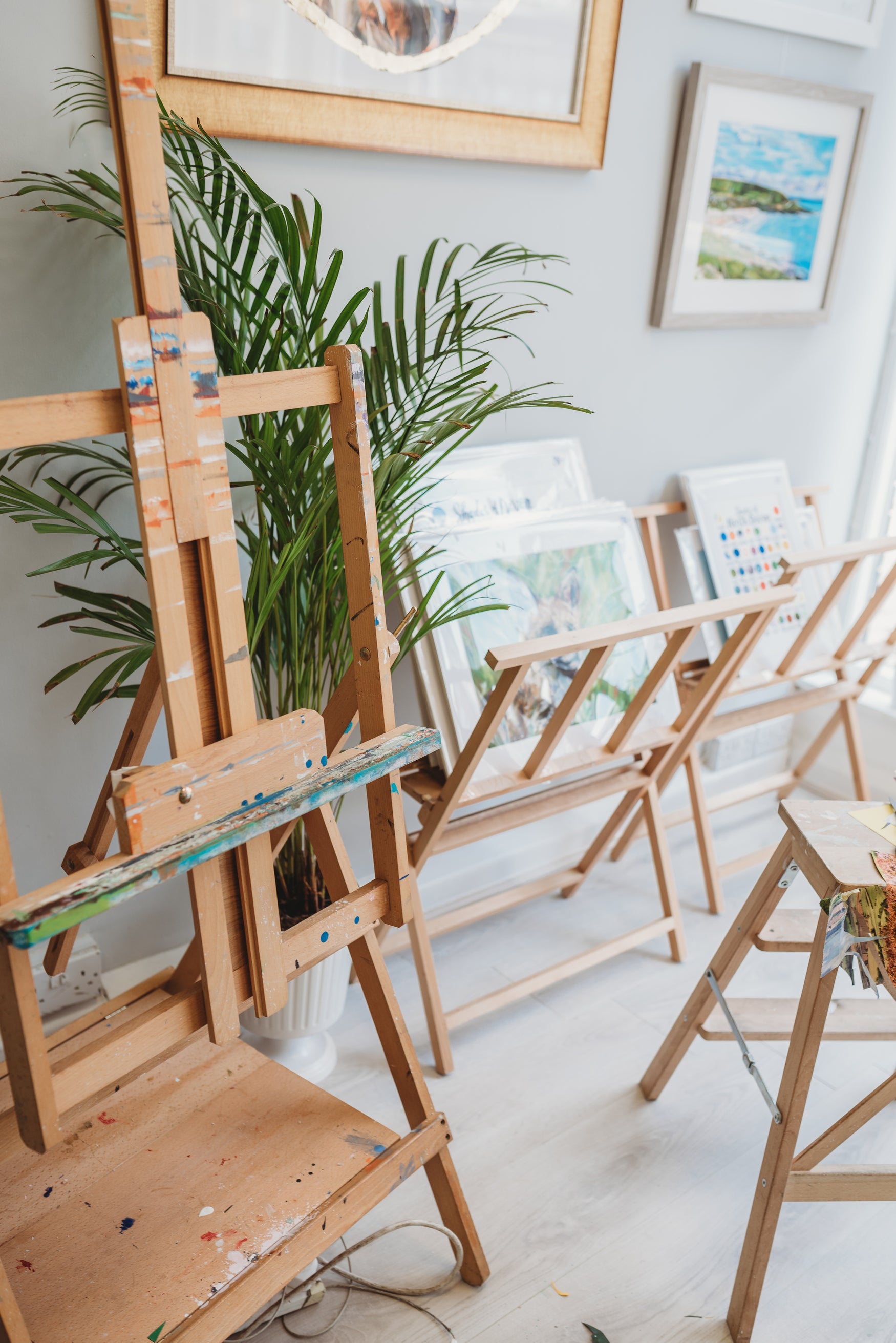 Sarah Jackson Artist